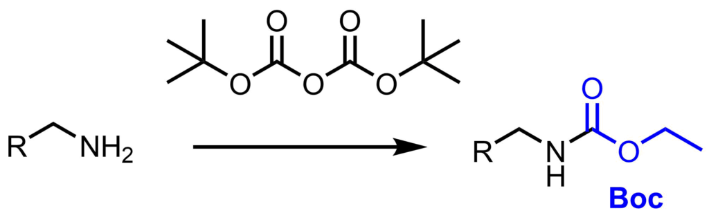 Boc基の保護・脱保護条件と反応機構 | ネットdeカガク